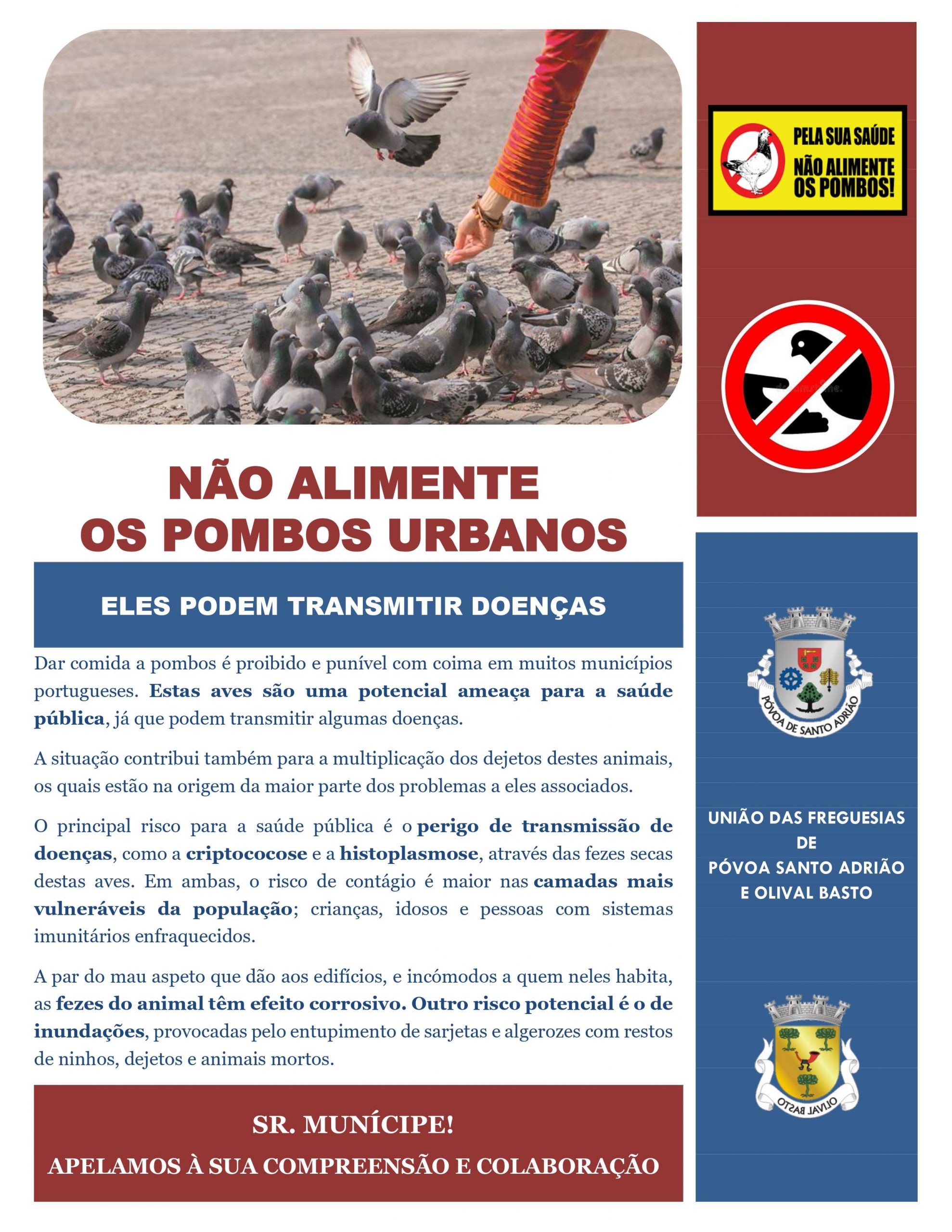 Pela sua saúde não alimente os pombos urbanos! – União Freguesias Povoa ...